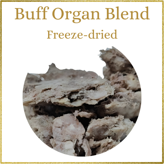Organ Blend - Georginas Kitchen